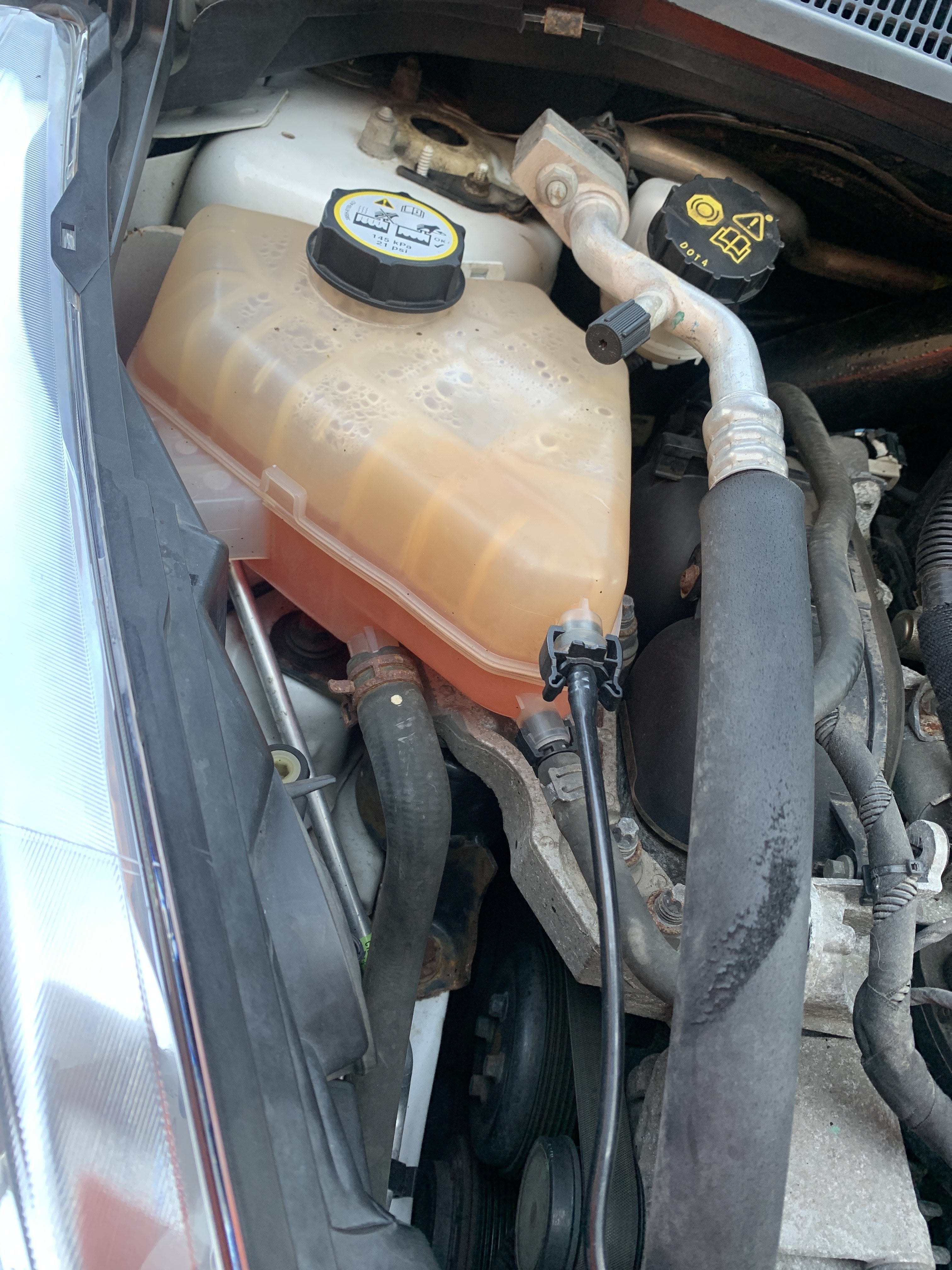 Ford Fiesta Changing Your Coolant, 54% OFF | www.elevate.in Ford Fiesta Changing Your Coolant, 54% OFF | www.elevate.in